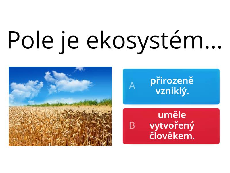 PŘÍ 4 - Ekosystém pole - Kvíz