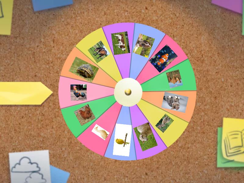 les animaux domestiques ( pets) - Random wheel