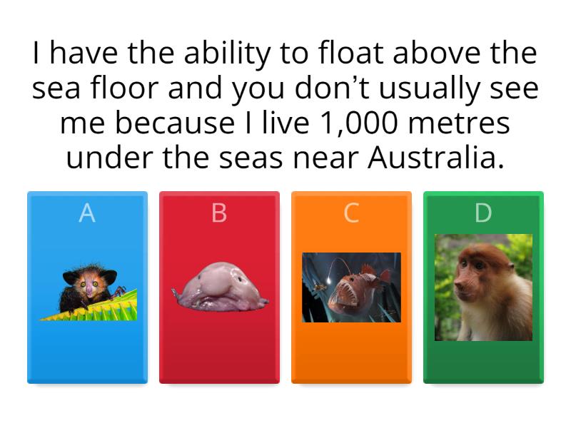 Choose The Correct Animals - Quiz