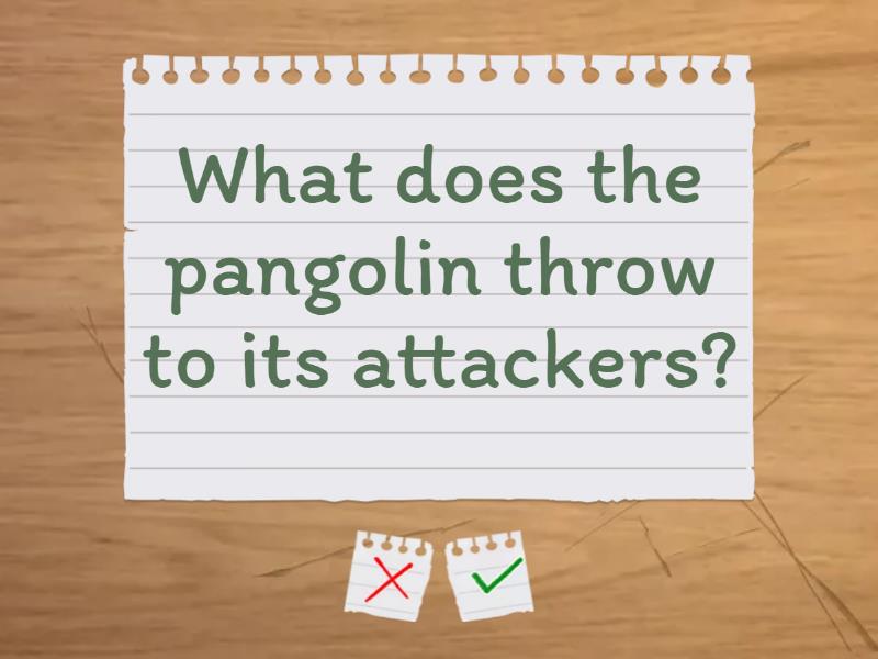 3B YOU ARE AMAZING! - Flash cards