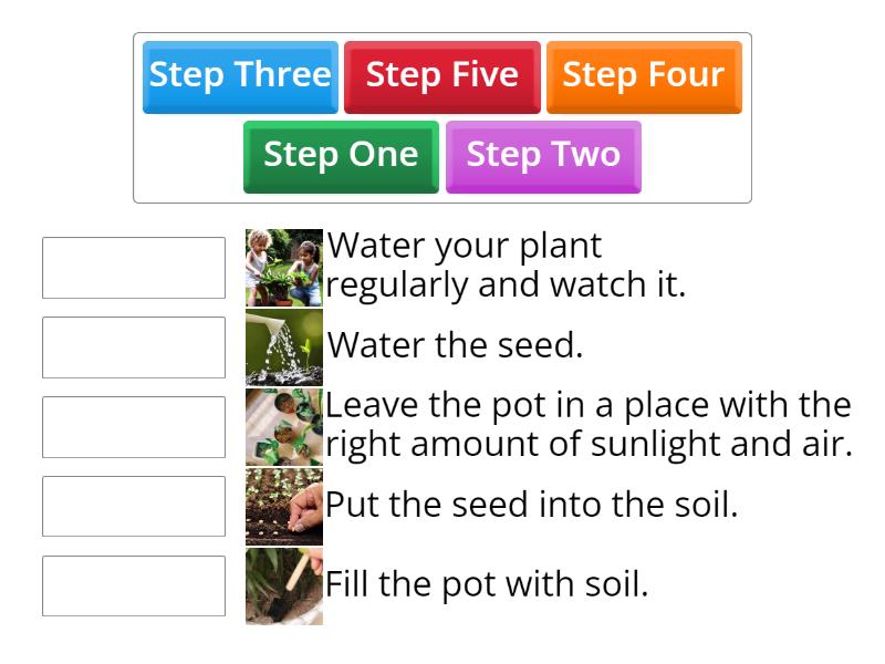 How to Plant a Seed? - Match up