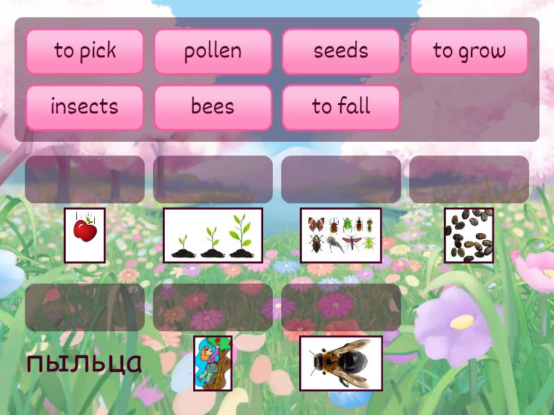 AS2 how food grows - Match up