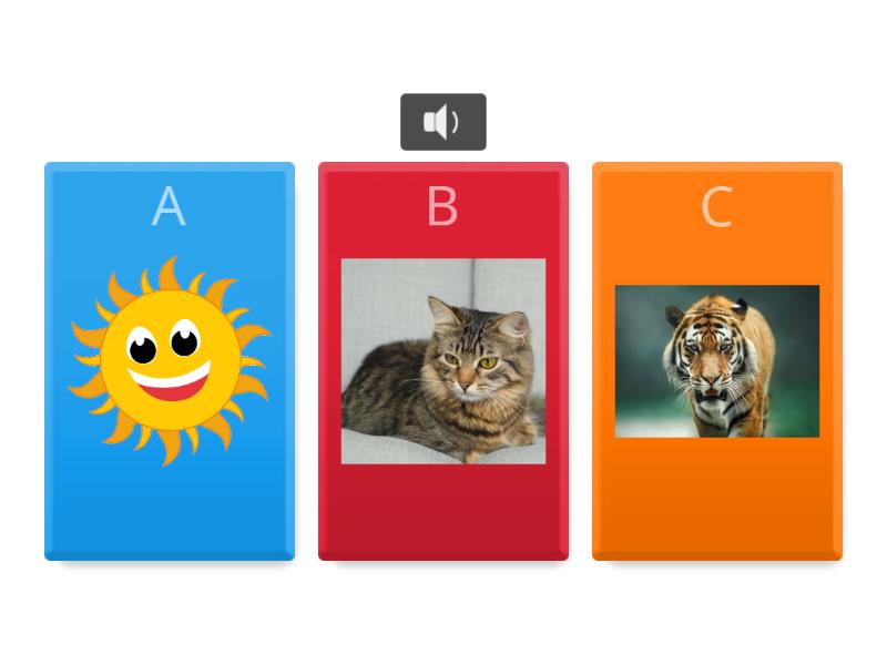 Letter C Quiz