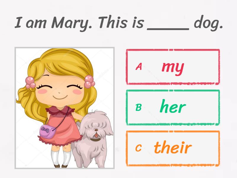 Possessive adjectives - Quiz