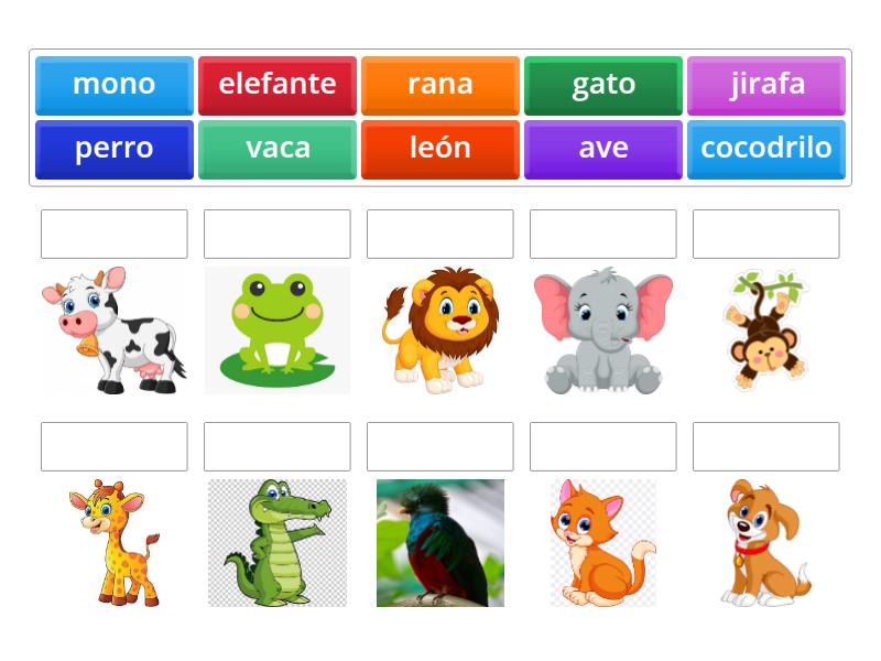 Los animales - Match up