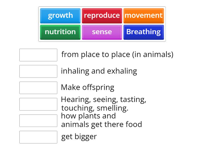 life processes - Match up