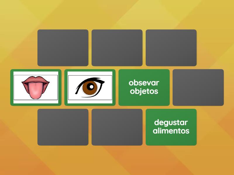 Los 5 sentidos - Matching pairs