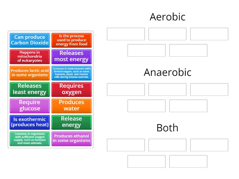 Aerobic and Anaerobic Respiration - Group sort