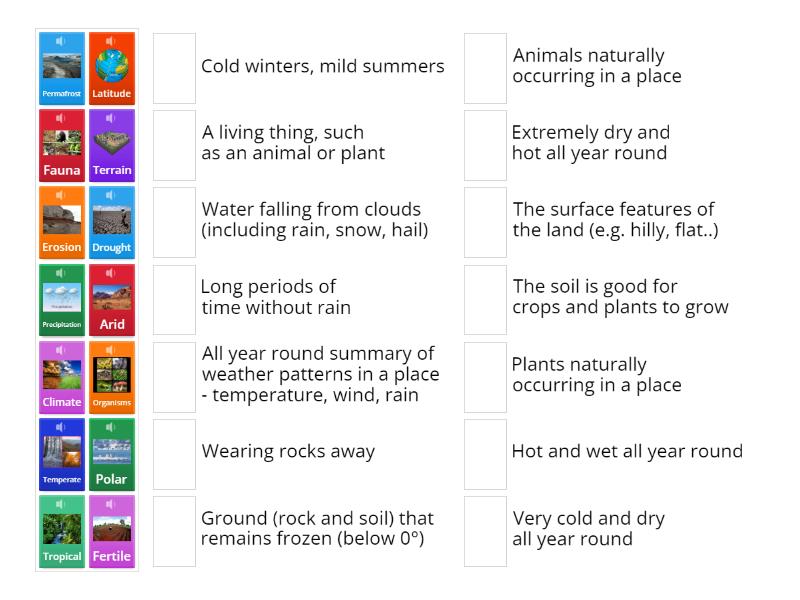 Biomes Vocabulary - Match up