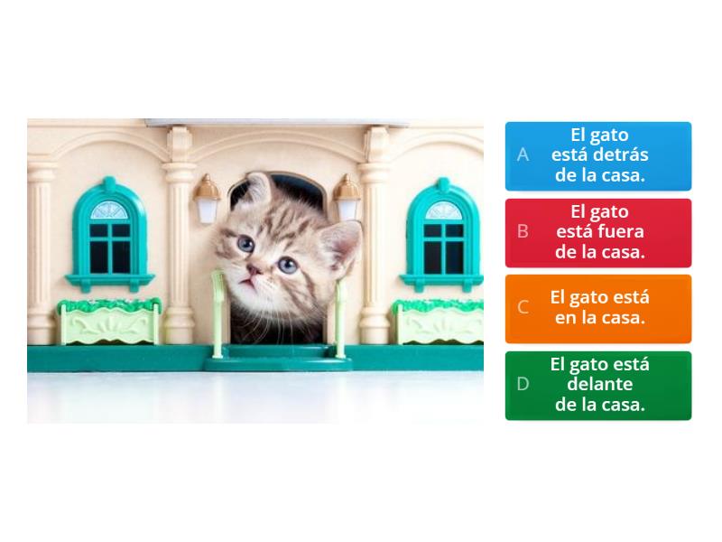 Preposition practice - Quiz