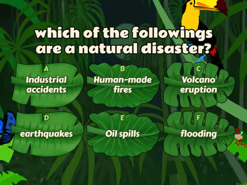 natural disasters - Quiz