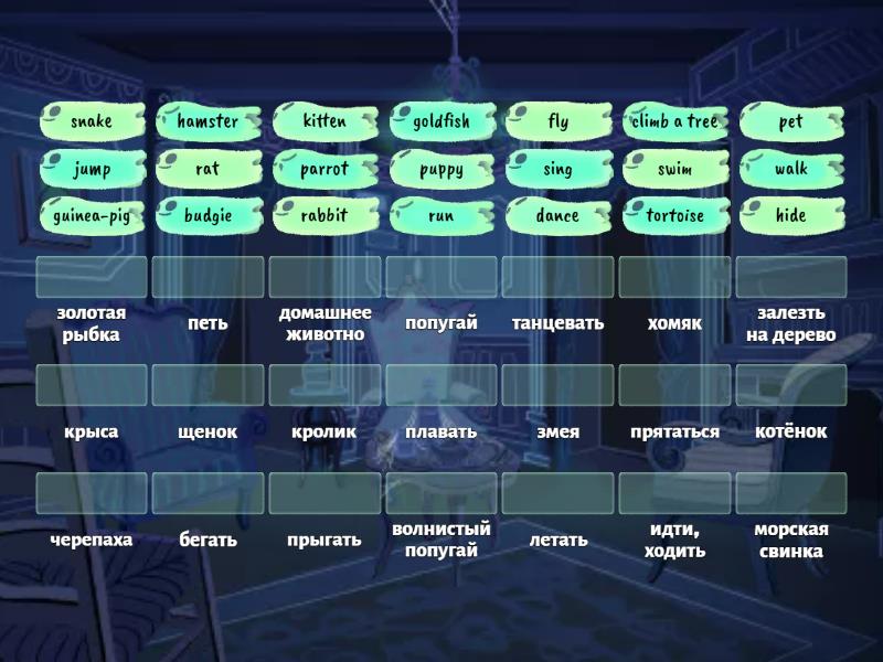 3d Form, Unit 4 Pets - Une las parejas