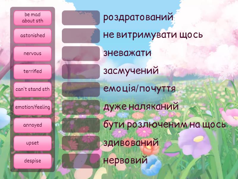 OET B1 Unit 2 Feelings and emotions - Match up