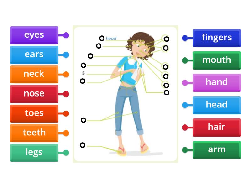 Go getter 1 Unit 4 (vocabulary) - Labelled diagram