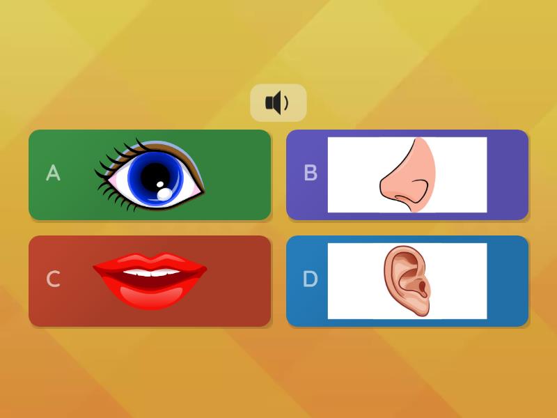 FACE PARTS AND FOOD AND DRINKS VOCABULARY - UNIT 4 AND 5 - Quiz