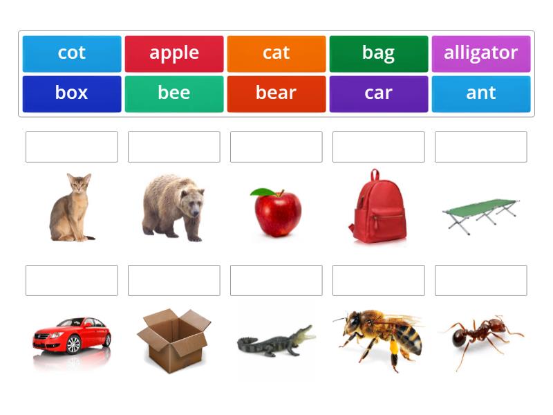 Phonics show 1 unit 1 - Match up