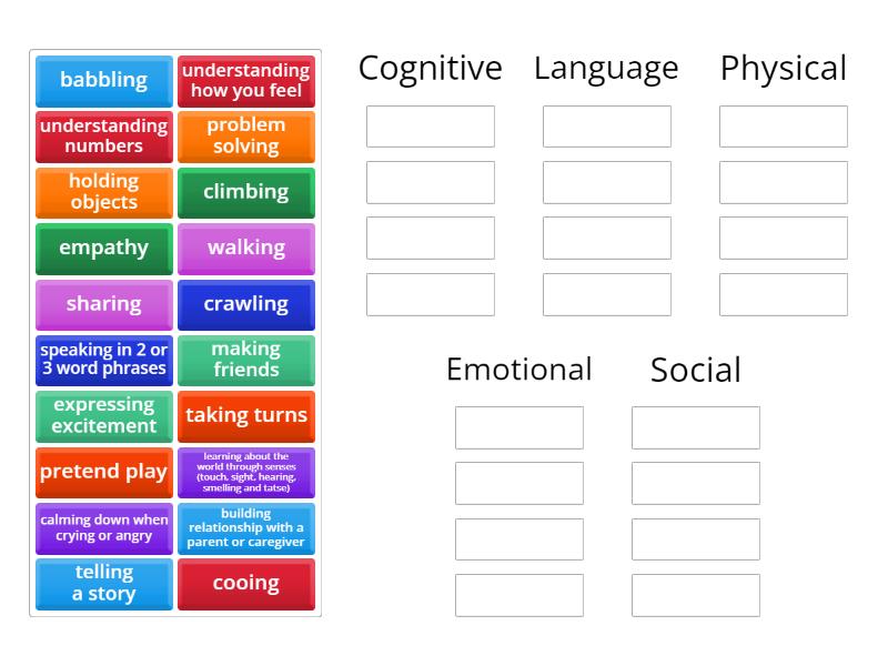 ECE Bridge- Developmental Domains Review - Group sort