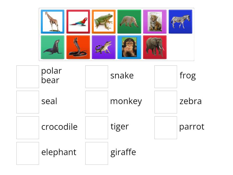FF 1 unit 12 animals - Match up