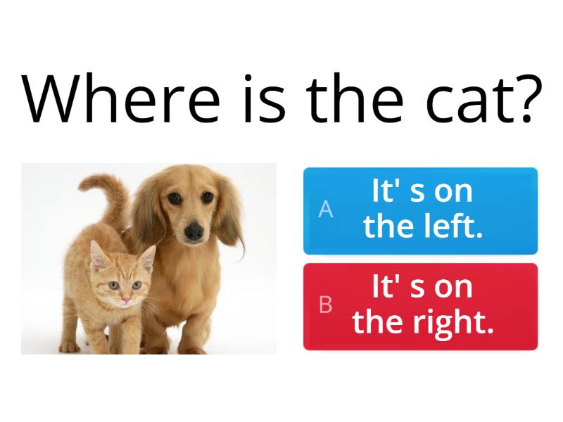 Where is ...? (left and right) - Quiz