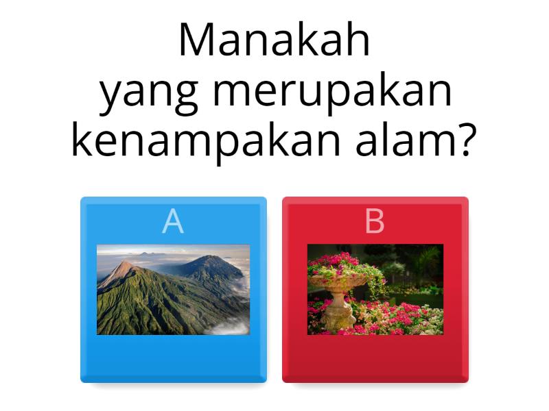 KENAMPAKAN ALAM DAN BUATAN - Quiz