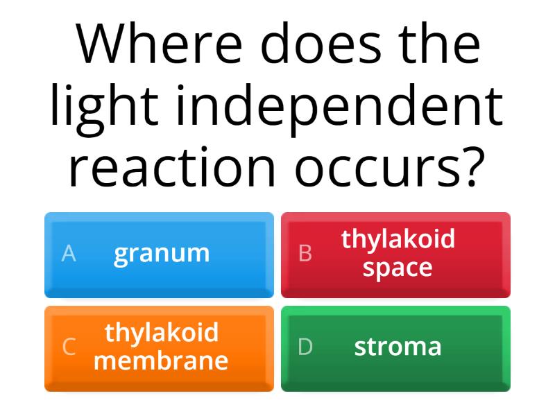 Jimmy question - Quiz