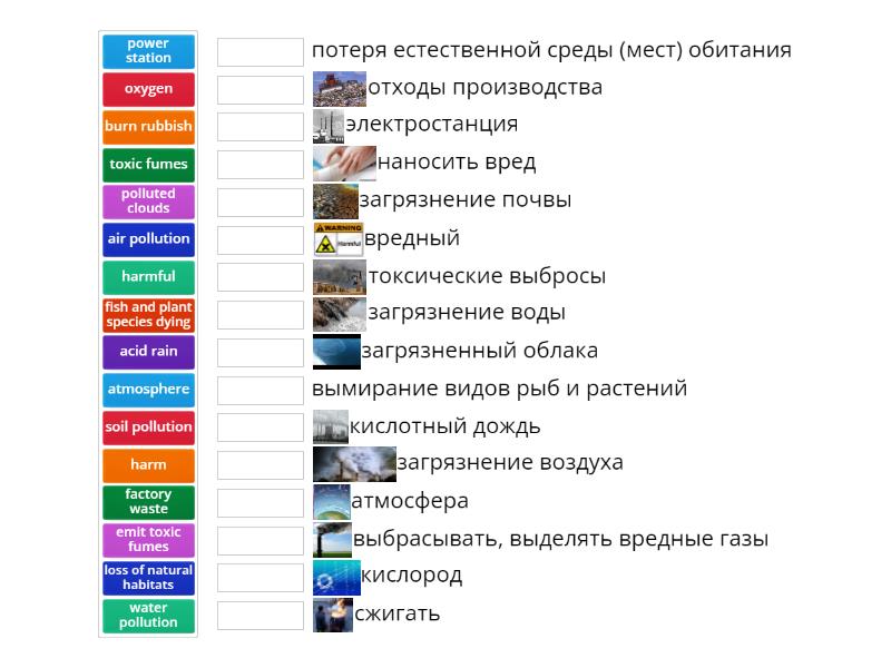 Spotlight 7 module 8a vocabulary - Match up