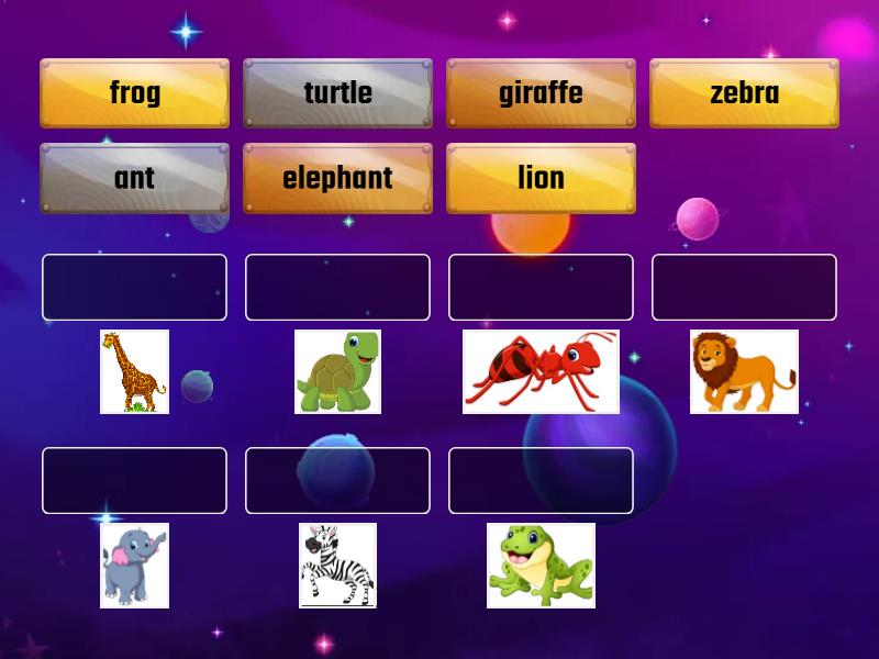 Animals - Match up