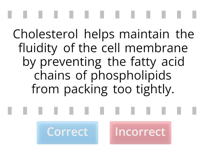 The Cell Surface Membrane - True or false