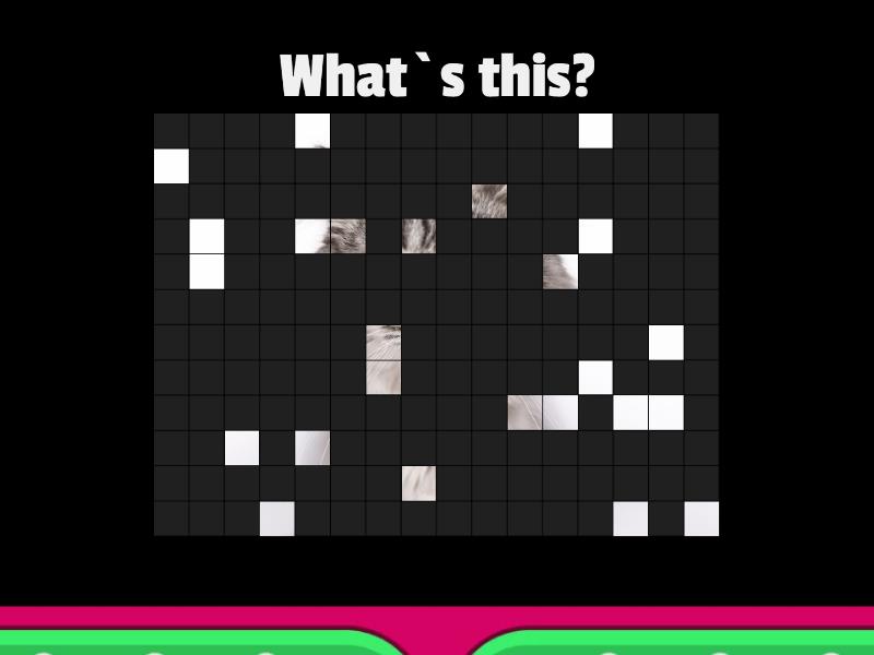 TT1 unit 5 vocabulary - Image quiz