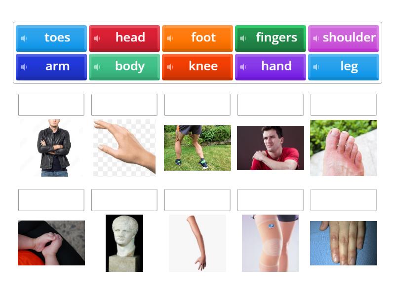 Parts of the body (audio supported words) - Match up