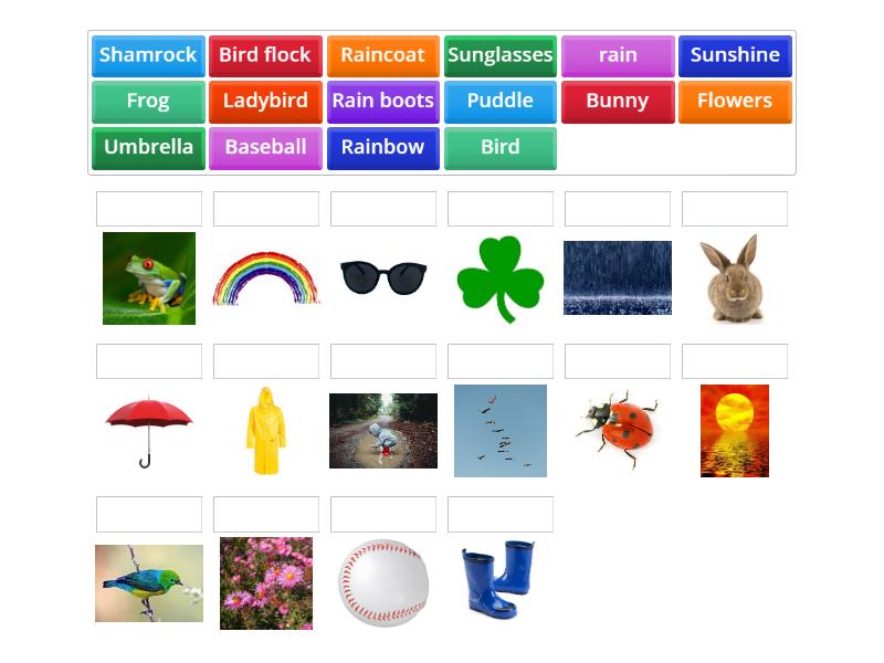 Vocabulary spring - Match up