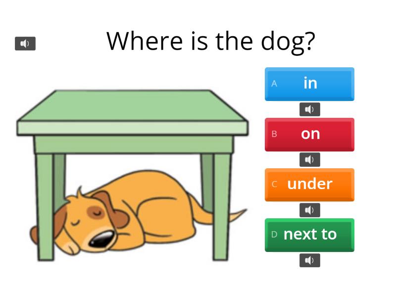 Prepositions of space: in, on, under, next to - Cuestionario