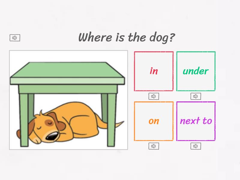 Prepositions of space: in, on, under, next to - Quiz
