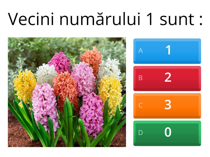 joc 1-20 - Quiz