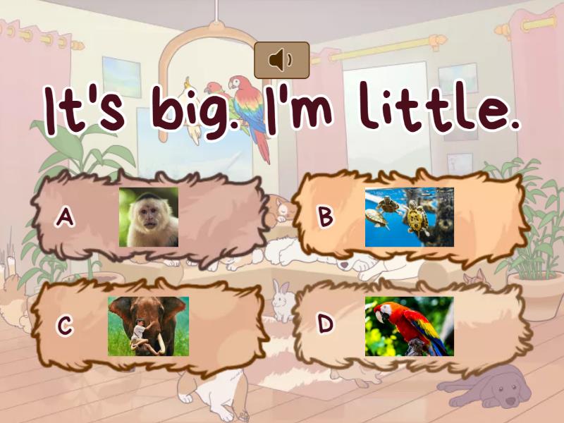 Unit11- I like monkeys! - EBOX - Kuis