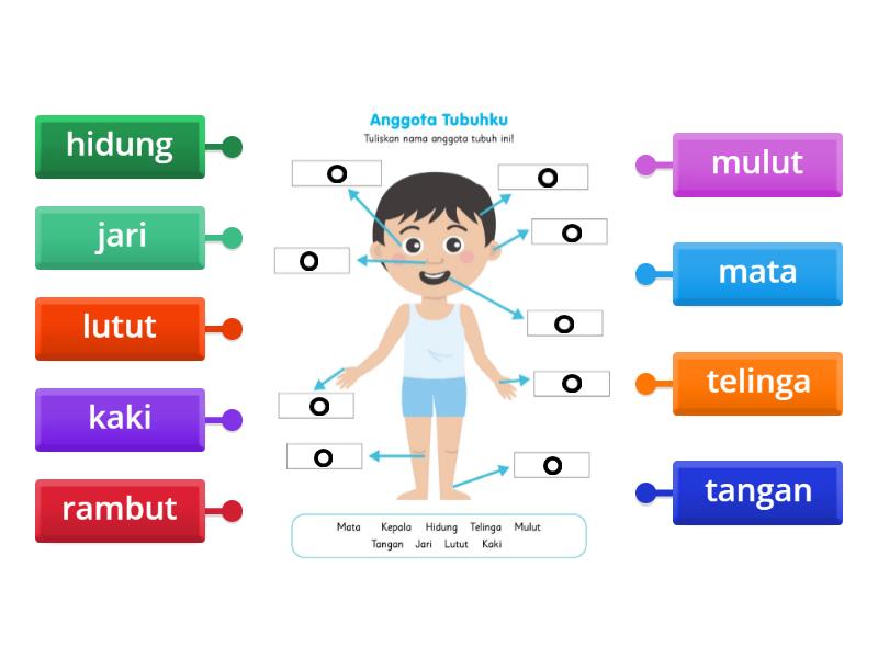 TAHUN 1 ANGGOTA BADAN - Labelled diagram