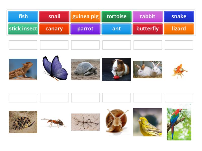 Incredible English 3 Unit 4 Lesson 1 - Match up