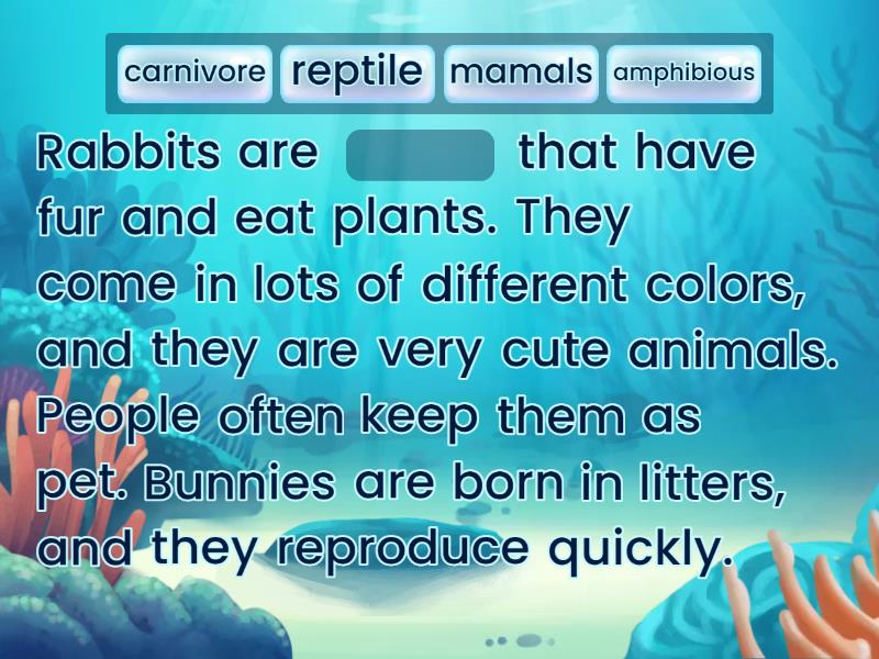 Rabbit - Complete the sentence
