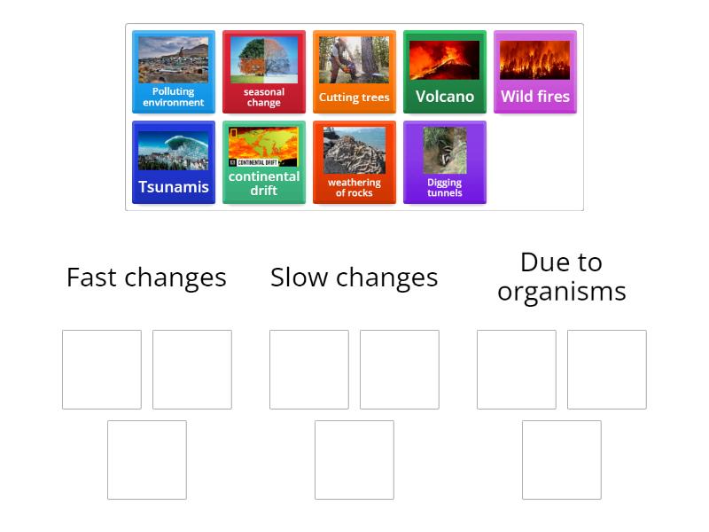 Ecosystems change - Group sort