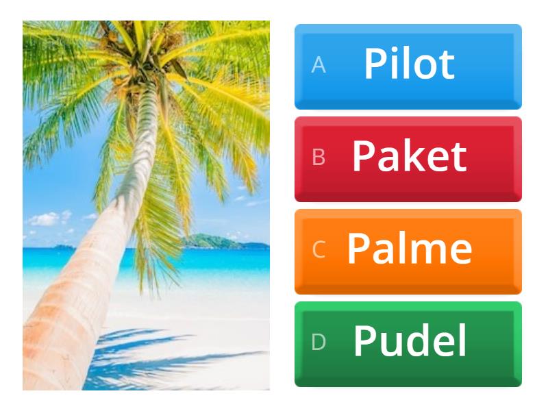 Wörter mit P/p - Quiz