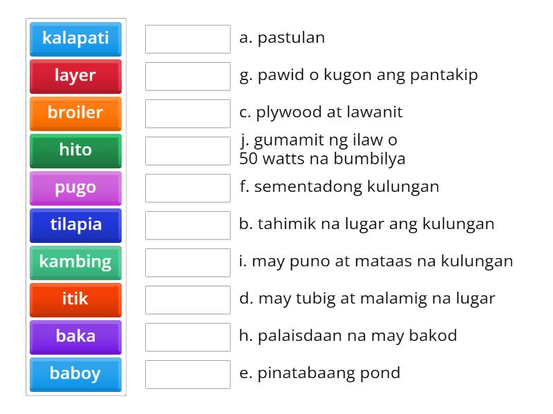 Matching Type - Match up