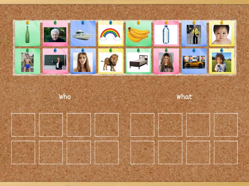Wh questions ( Who- What) - Group sort