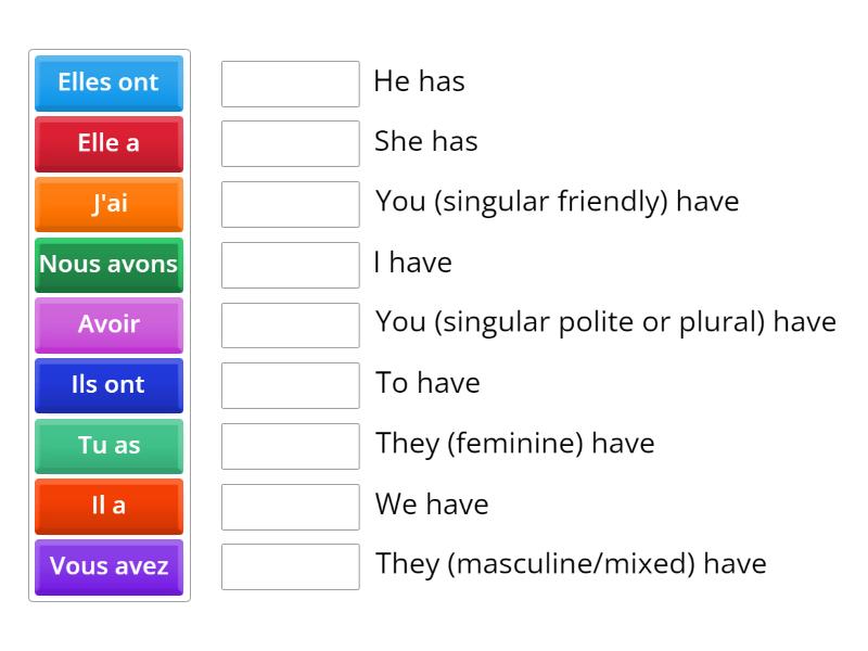 Present tense of verb avoir (to have) - Match up