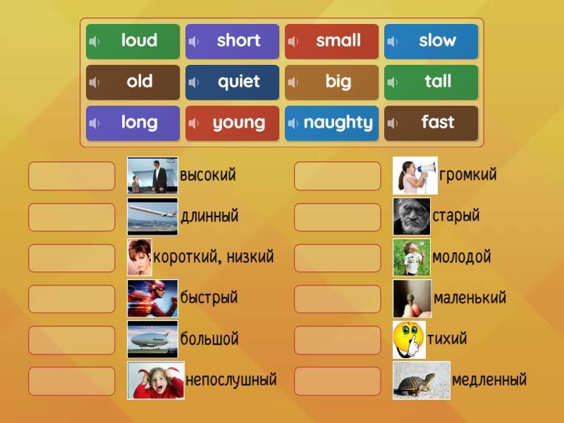 FF2 Unit 13 short adjectives - Match up