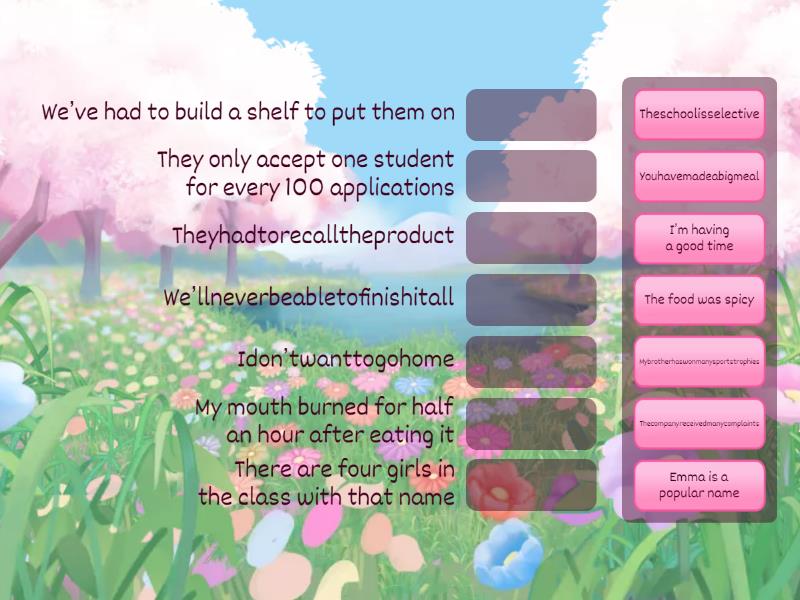 Form, Meaning and Function - Match up