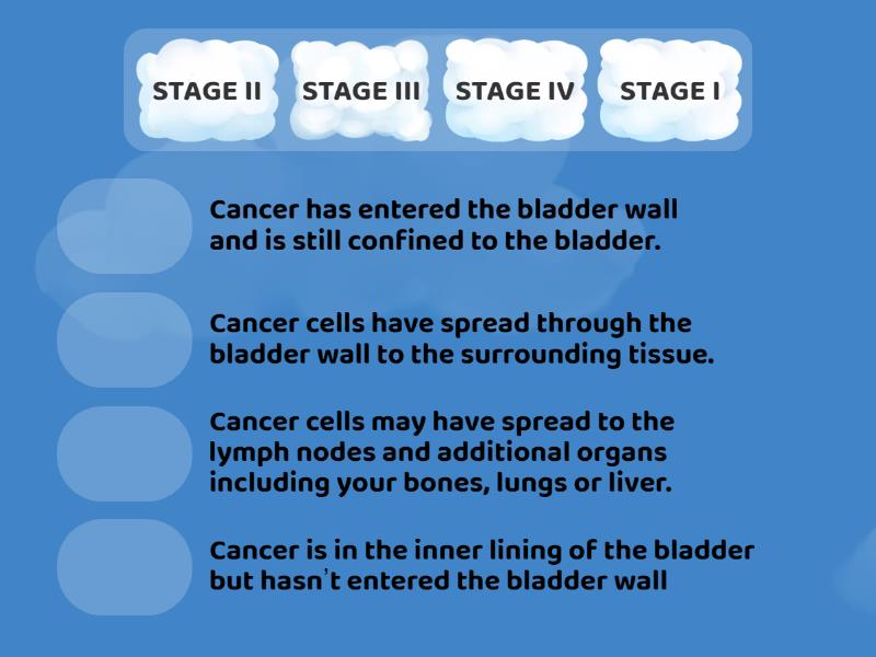 BLADDER CANCER STAGING - Une las parejas