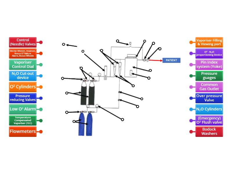 Label anaesthetic machine - Labelled diagram