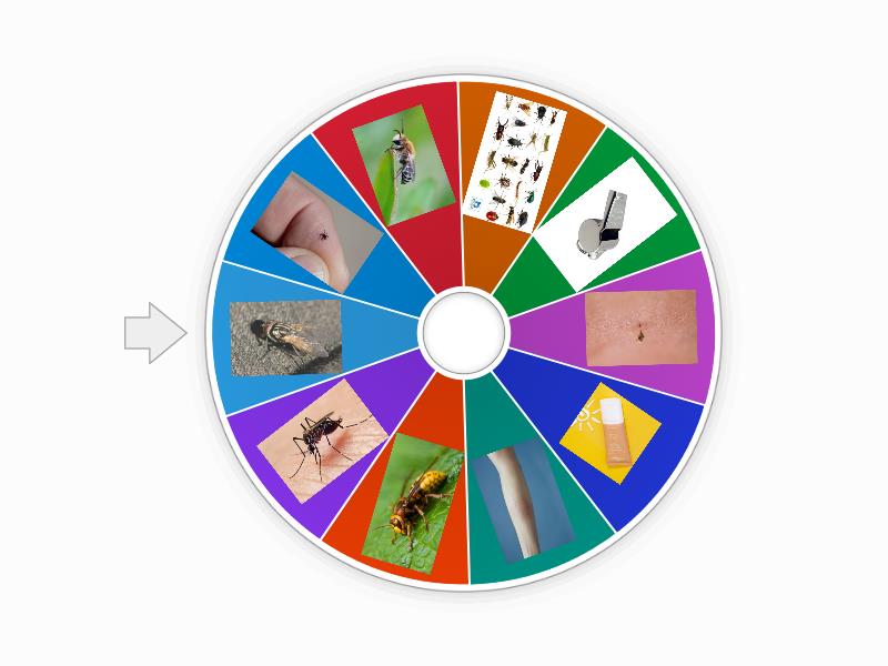 Stay safe - Spin the wheel