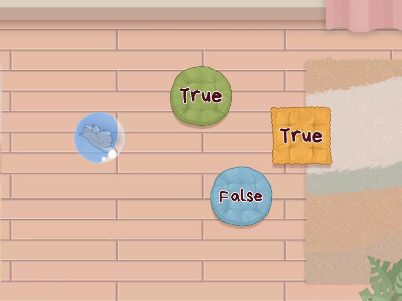 Lesson 4 - Classification - Task Familiarization - Airplane