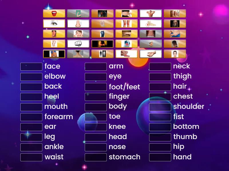 Body Parts - Match up